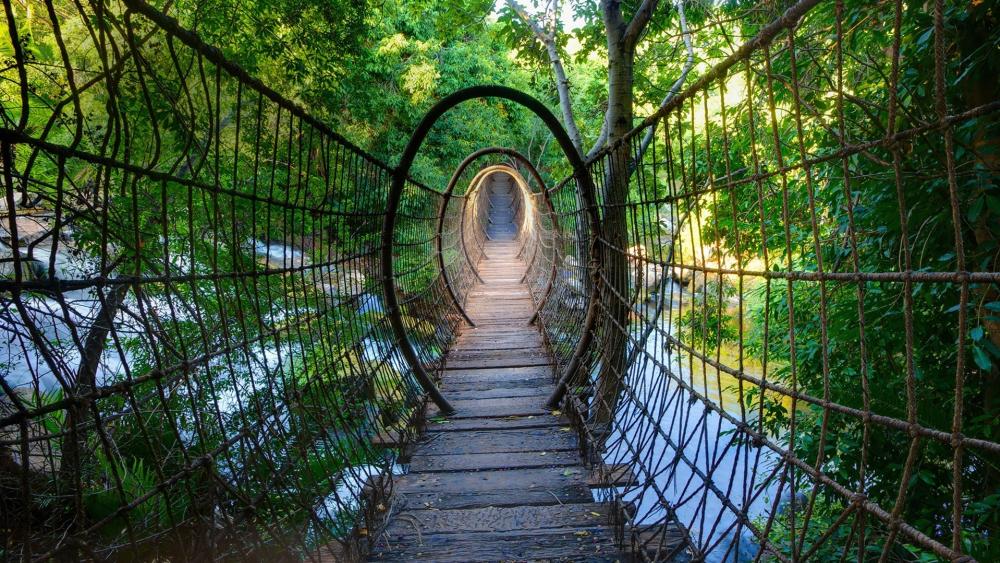 Enigmatic Bridge Through Lush Greenery - backiee