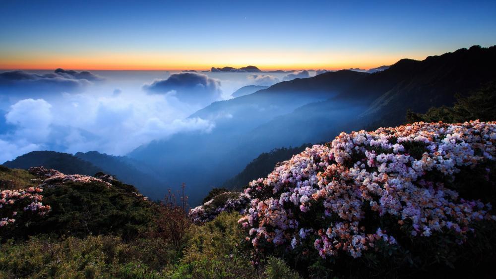 Serene Mountain View at Dawn - backiee