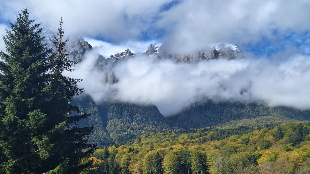 Mountain Peaks Shrouded in Misty Clouds - backiee