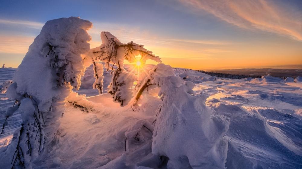 Winter Wonderland at Sunset - backiee