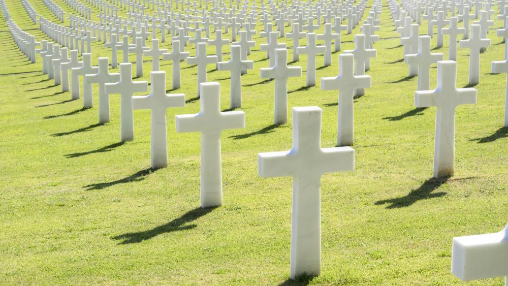 Silent Rows of White Crosses in a Sunlit War Cemetery - backiee