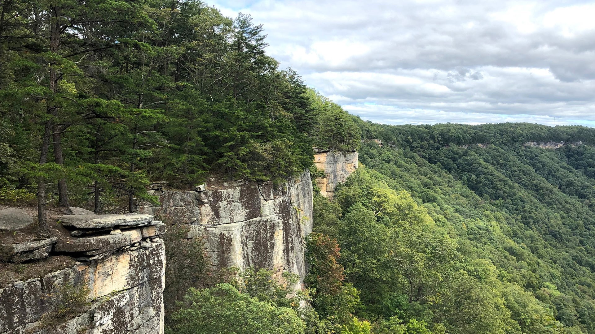 Stunning Cliffside View of Lush Greenery - backiee
