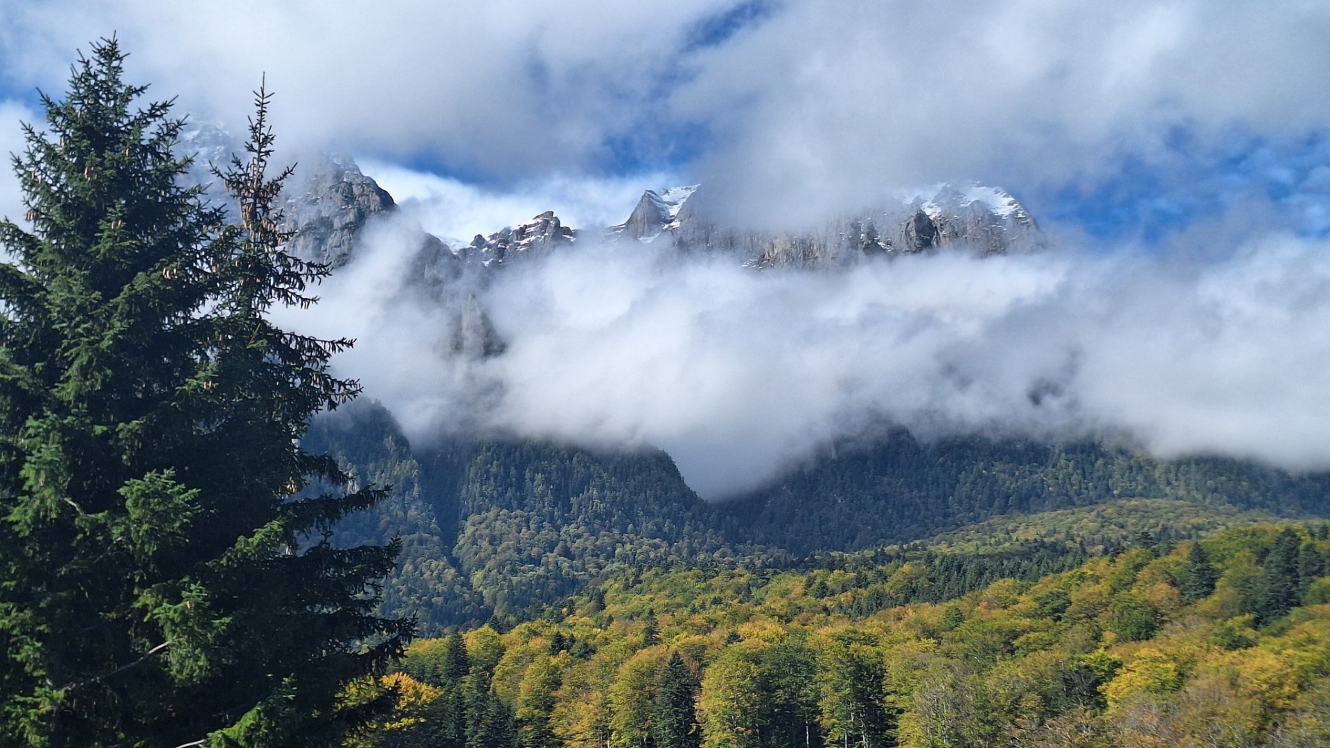 Mountain Peaks Shrouded in Misty Clouds - backiee