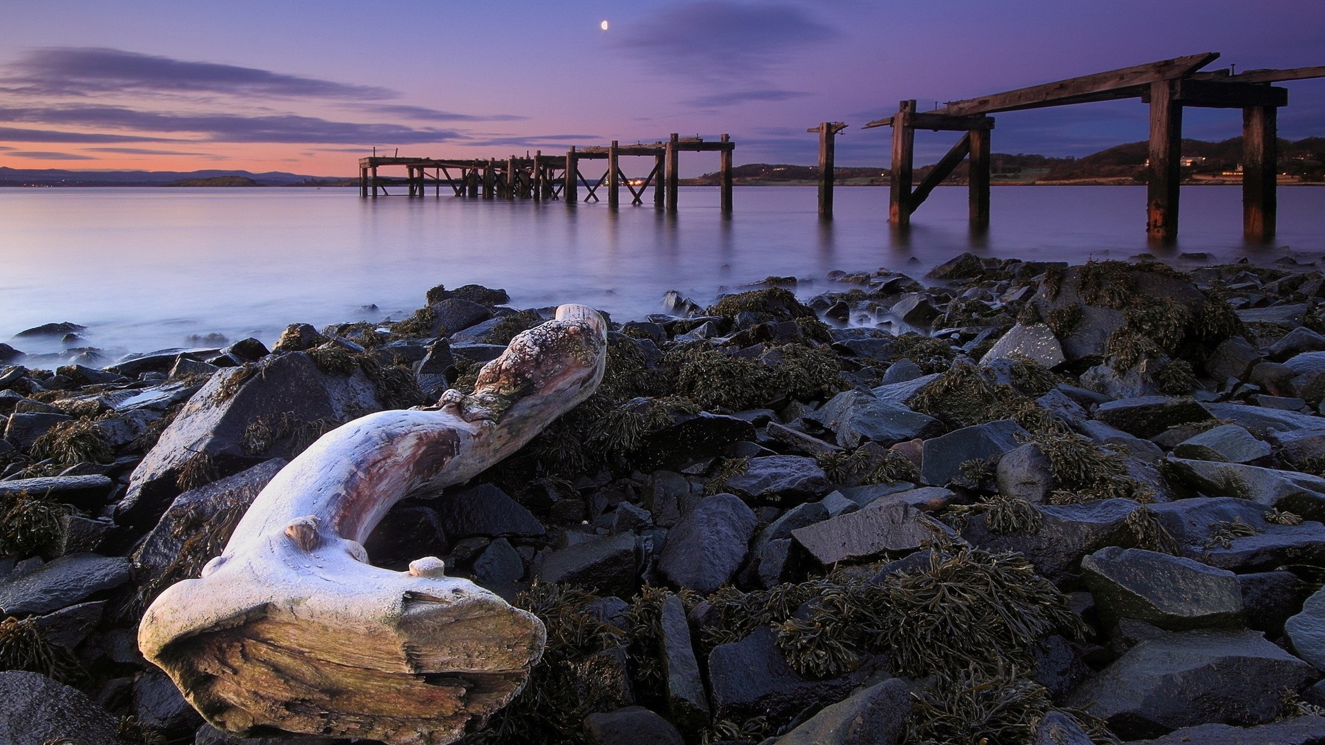 Aberdour Pier at Twilight with Driftwood Charm - backiee