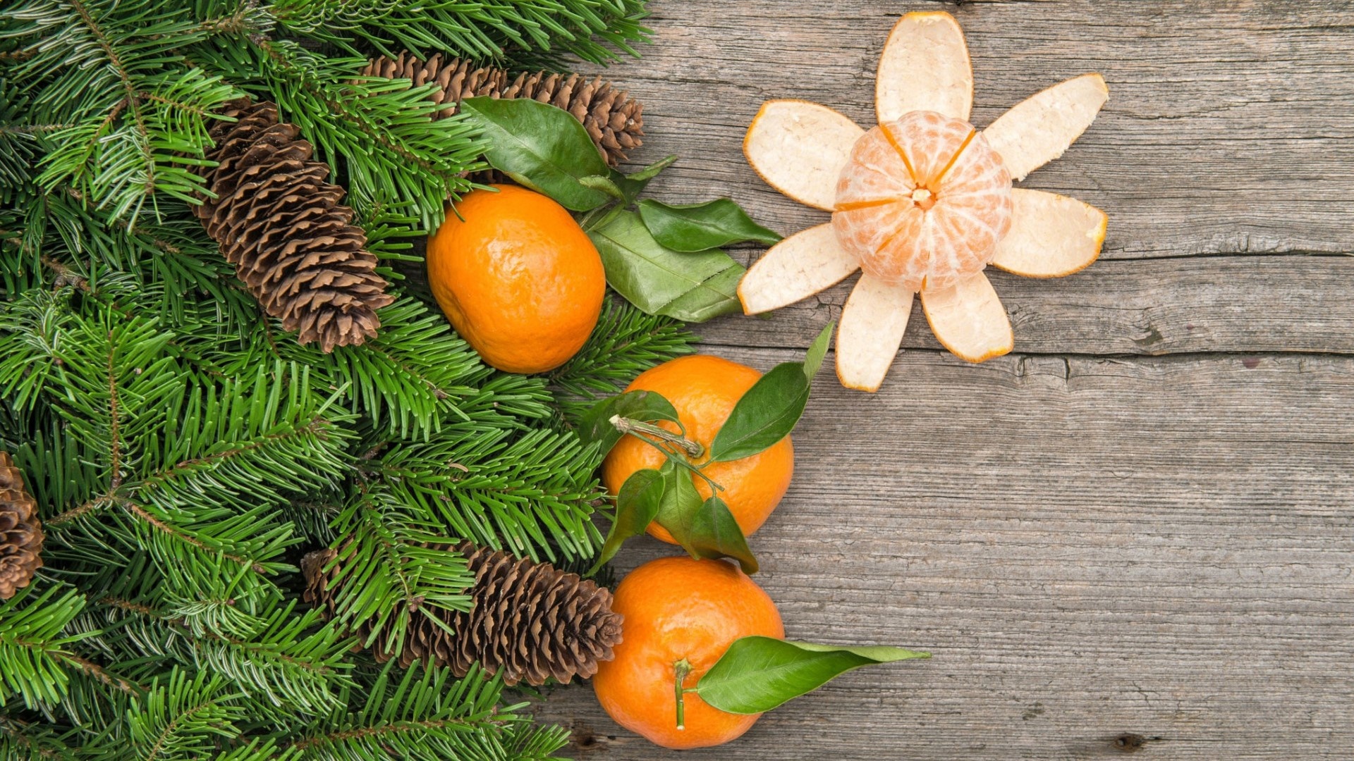 Clementine Festivity on Rustic Wood - backiee