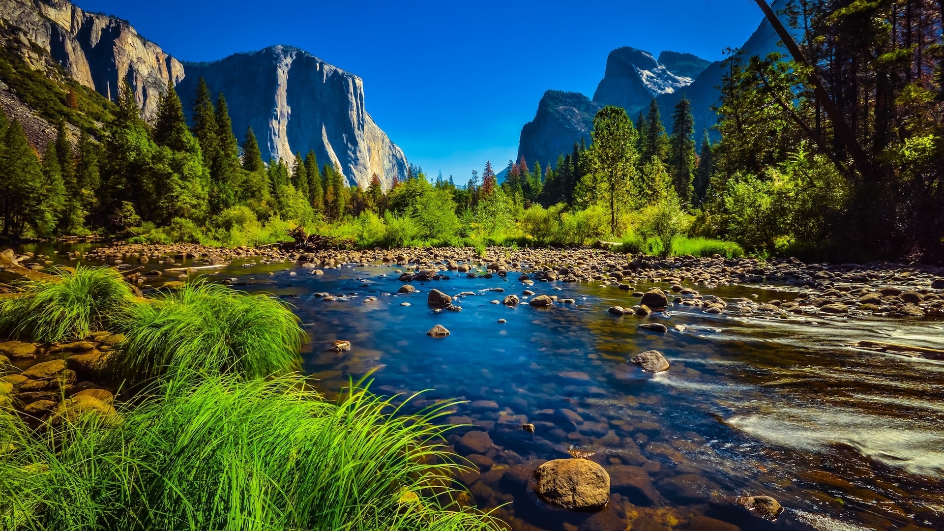Crystal Merced River Beneath El Capitan in Yosemite Valley - backiee