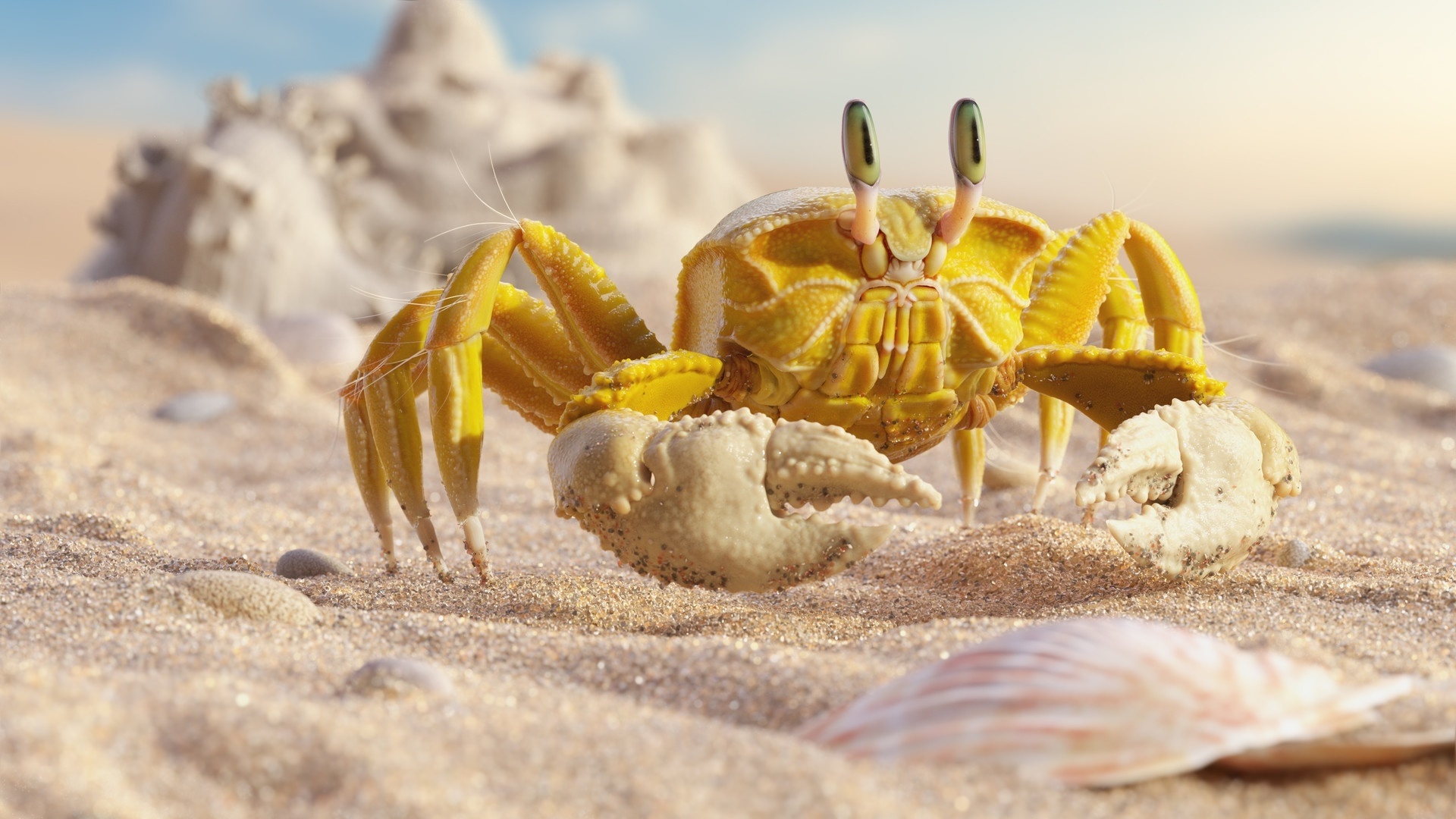 Golden Sand Crab Close Up on a Sunlit Beach - backiee