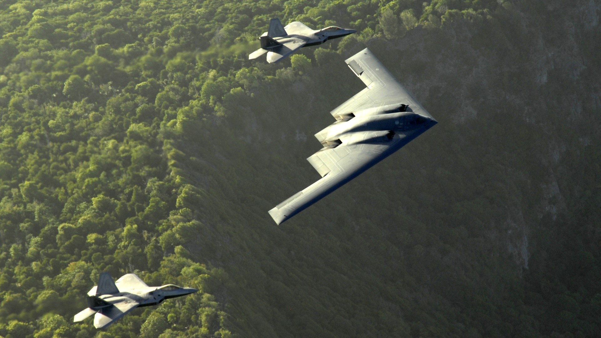 Stealth Bomber Over Forest Terrain - backiee