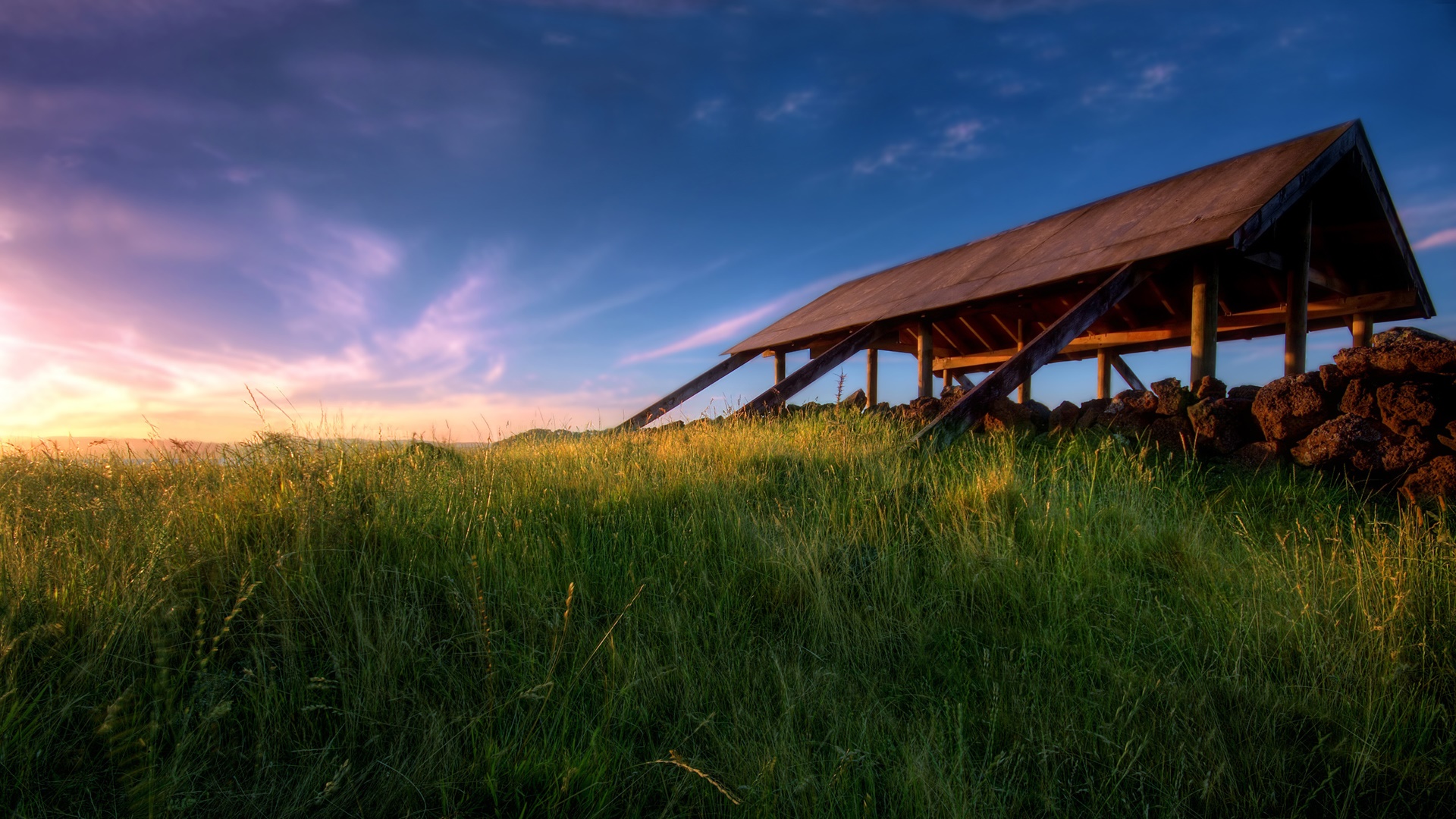 Sunlit Meadow Shelter at Dusk - backiee
