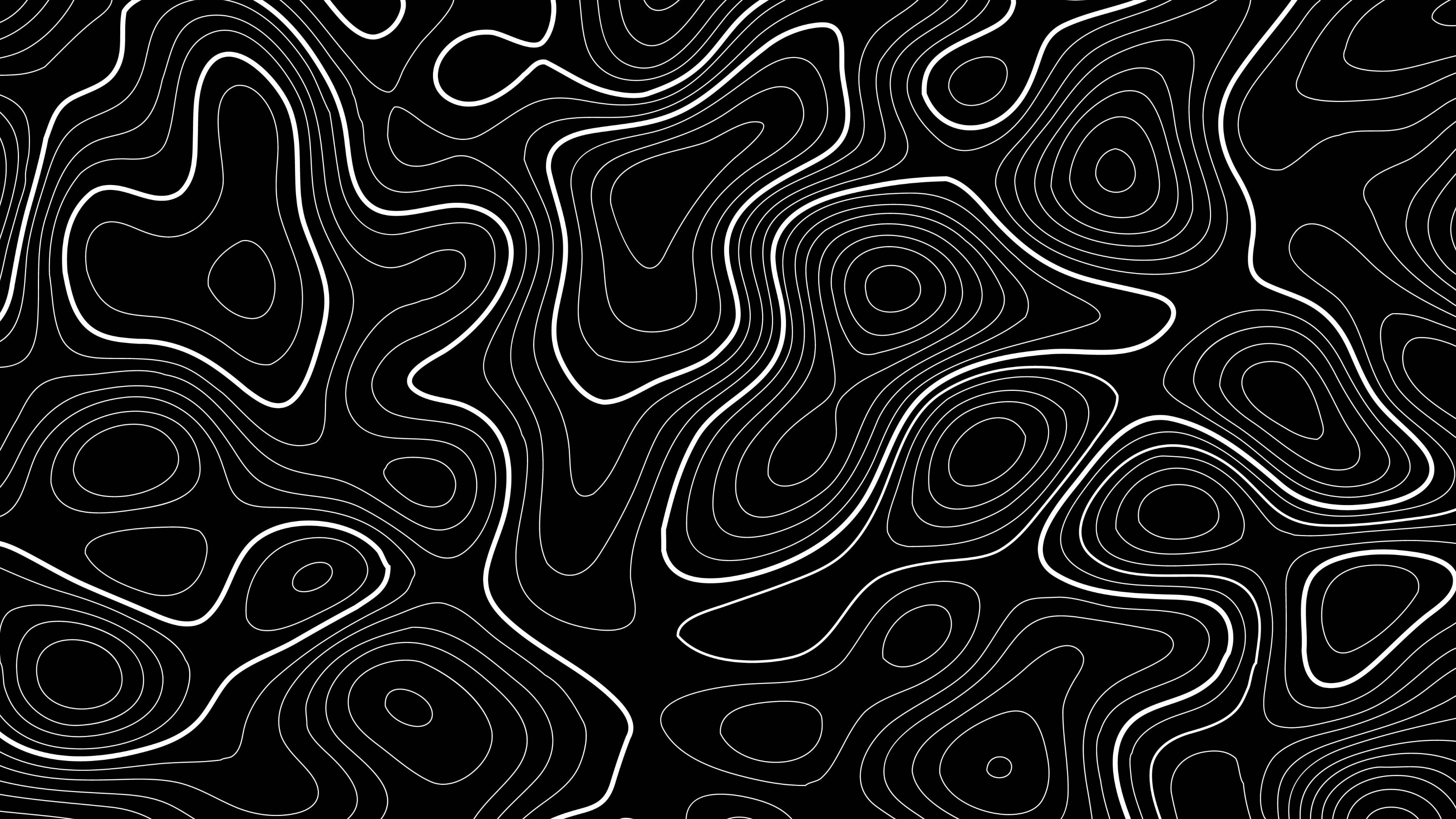Topographic Waves in Monochrome Elegance - backiee