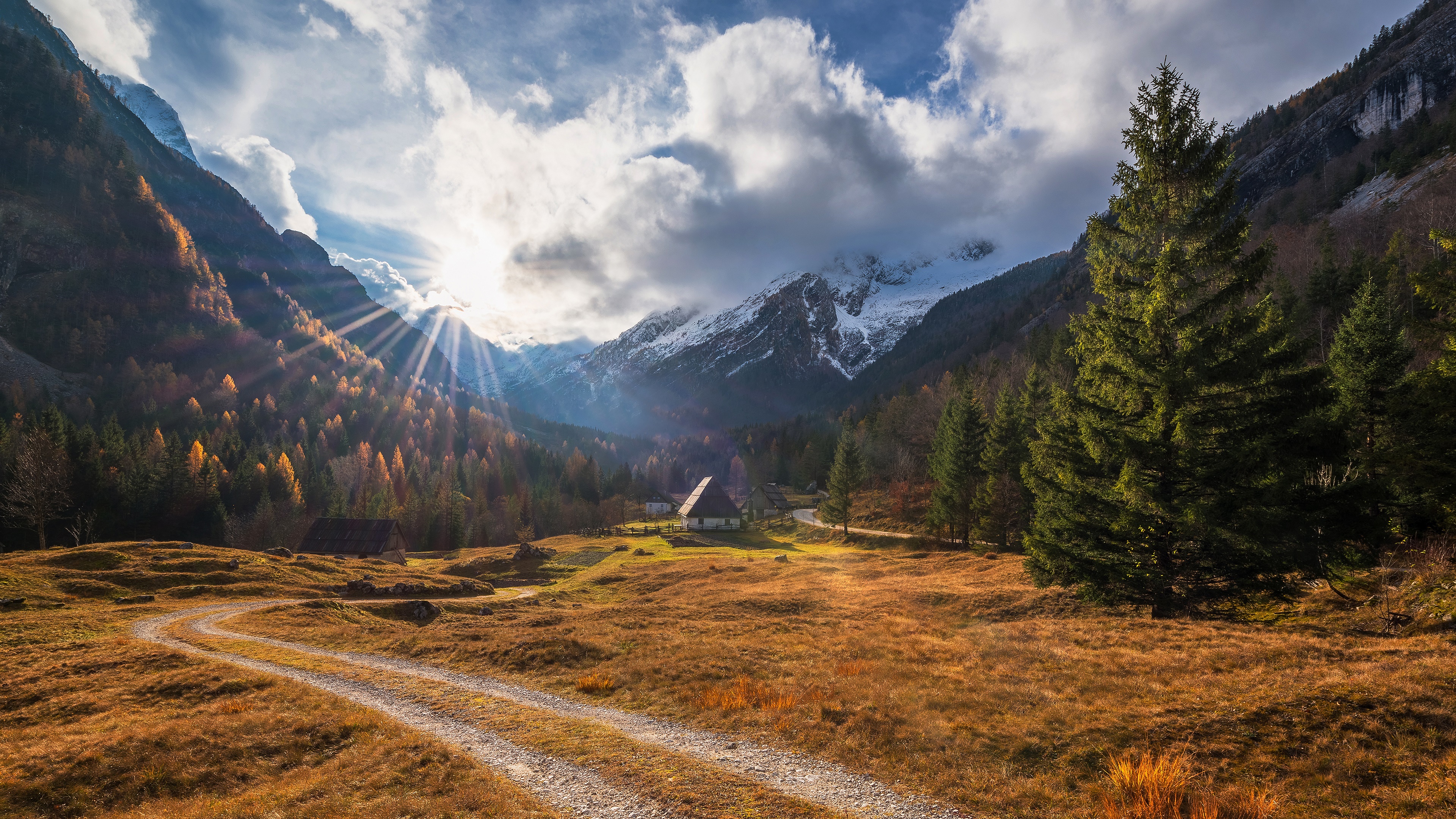 Sunlit Valley Serenity with Majestic Mountains and Lush Forest - backiee