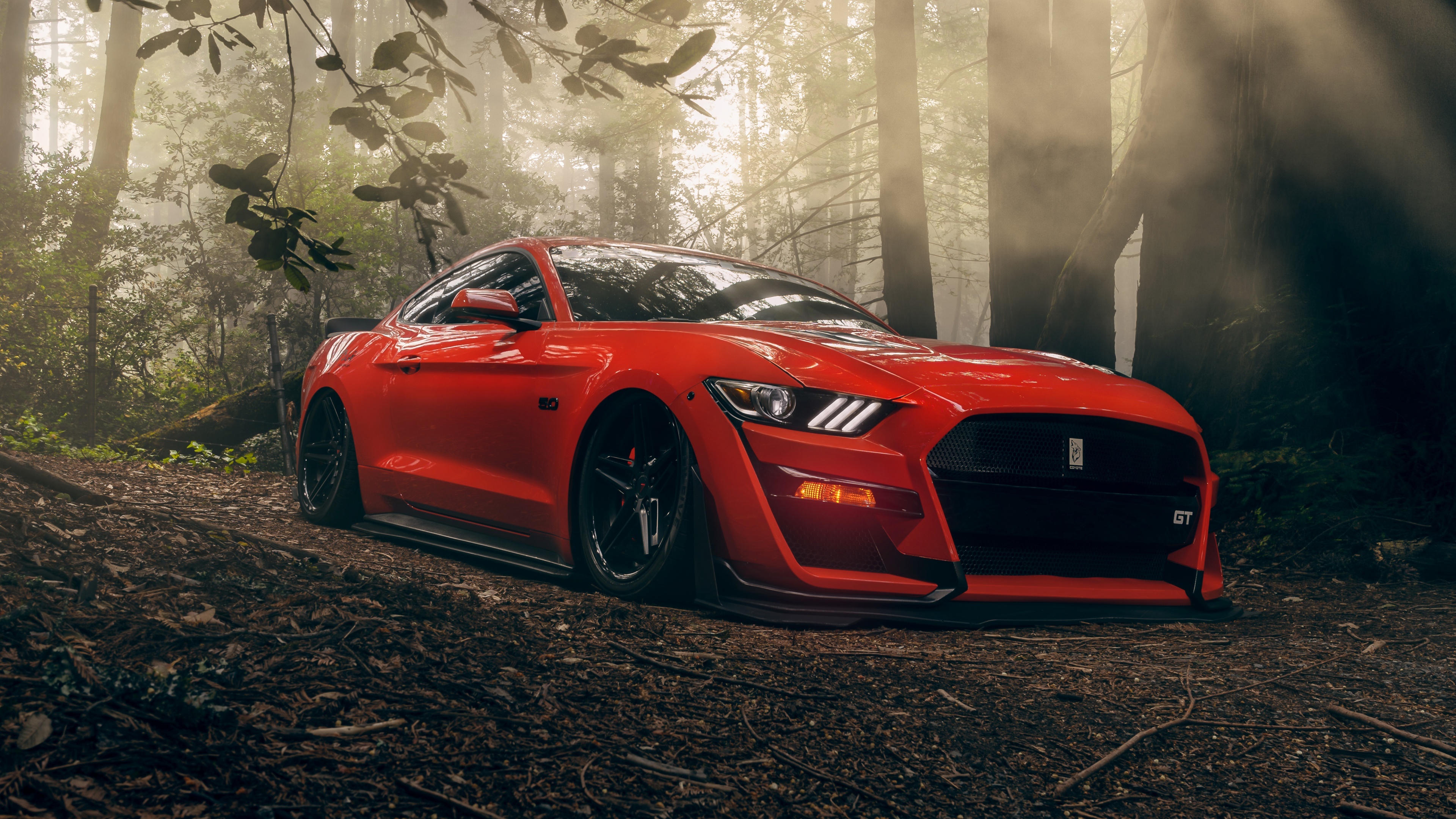Stunning Red Mustang in a Mystical Forest Scene - backiee