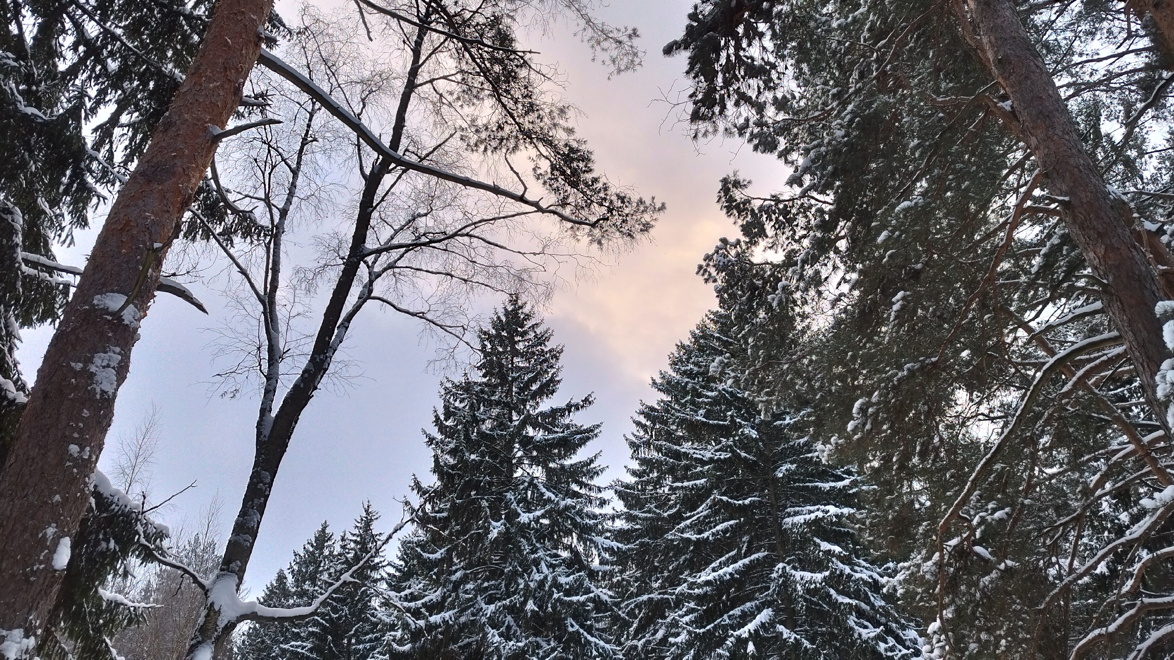 Wallpaper from nature category - backiee