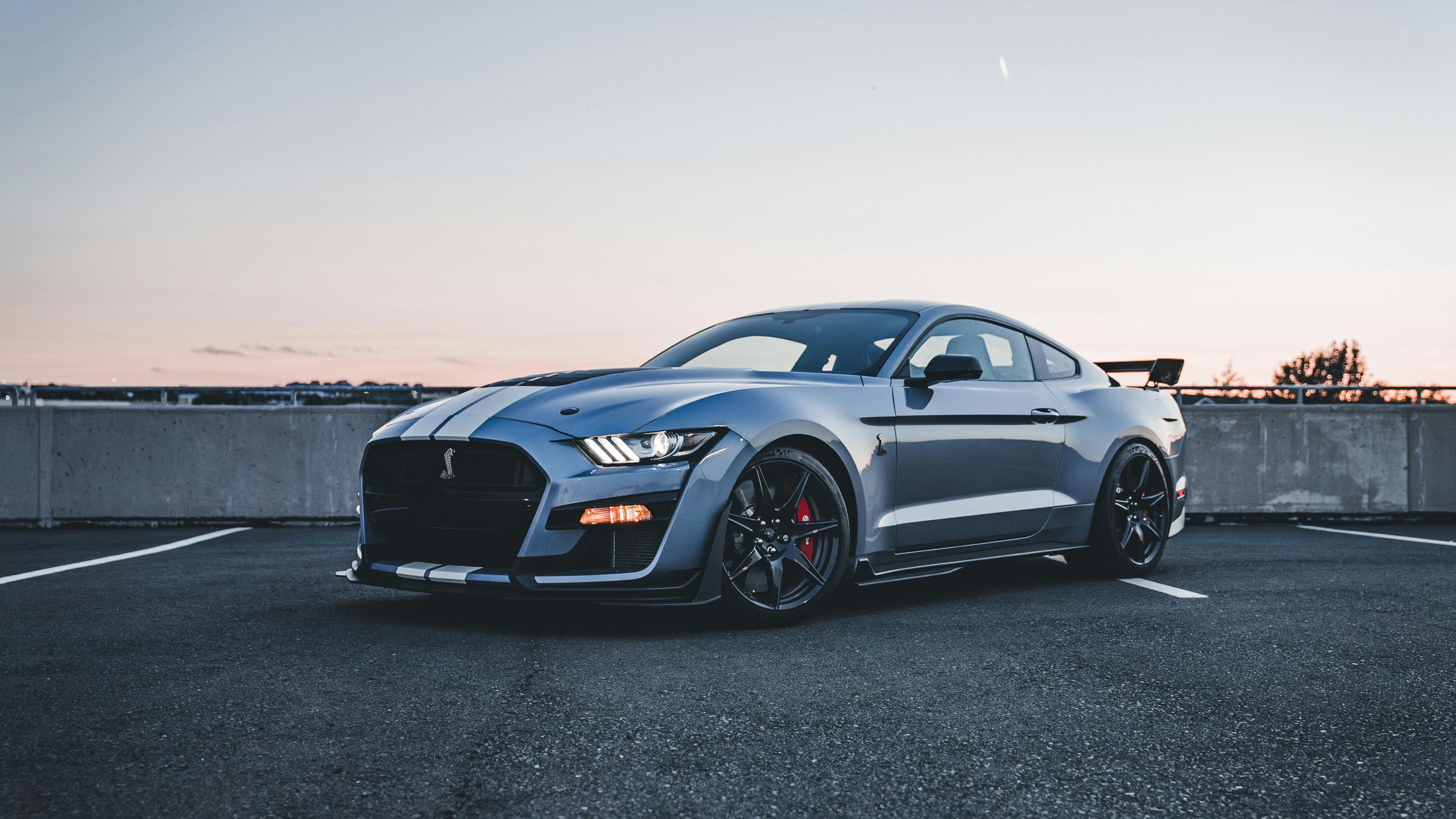Ford Mustang Shelby GT500 4K Muscle Car Sunset Stance - backiee
