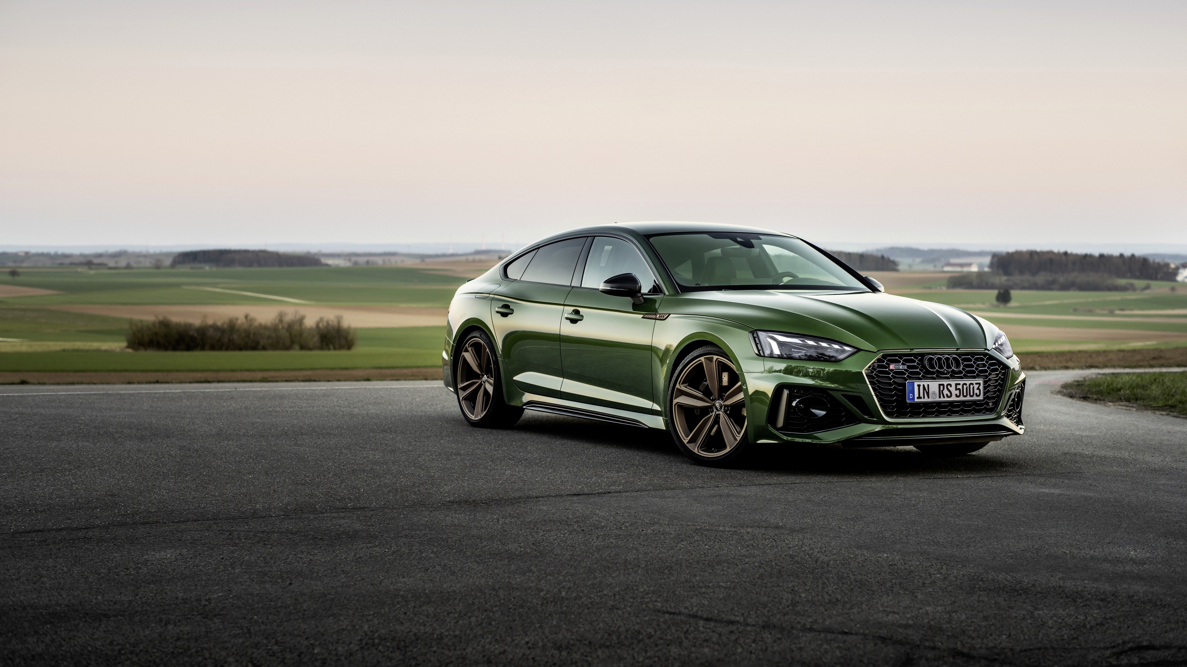 2025 Audi RS5 Sportback in Metallic Green 4K Elegance - backiee