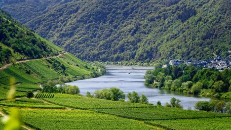 咨询方式0715-5330356 wallpapers - backiee