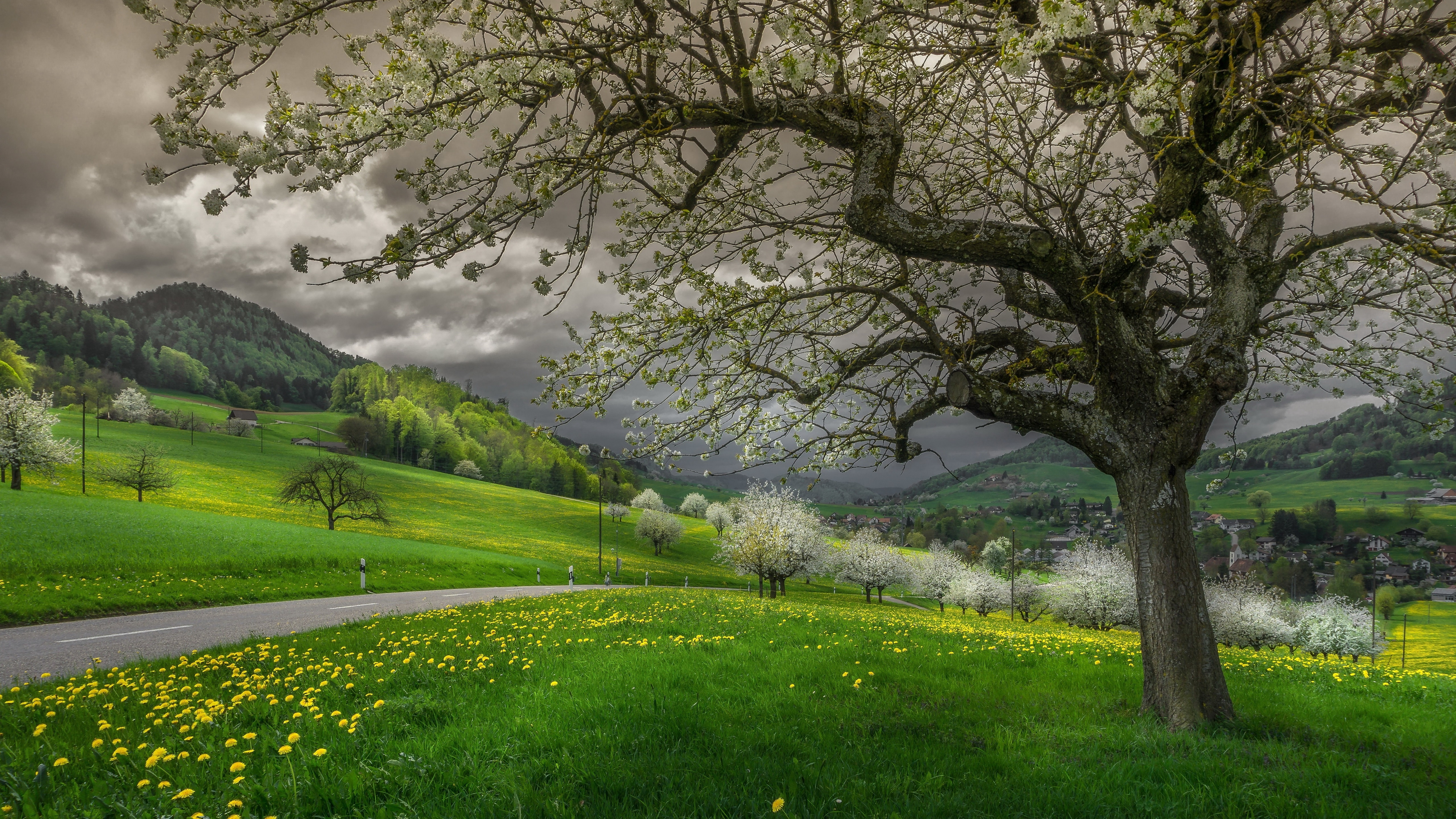 Blossoming Orchard Over Rolling Spring Meadows and Distant Hills - backiee