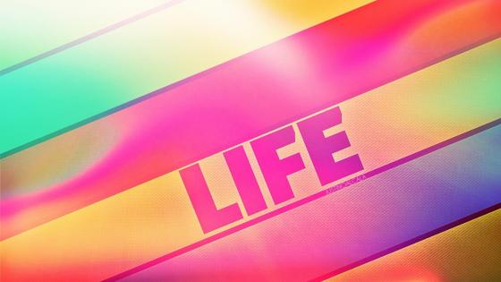 Wallpaper from life category - backiee