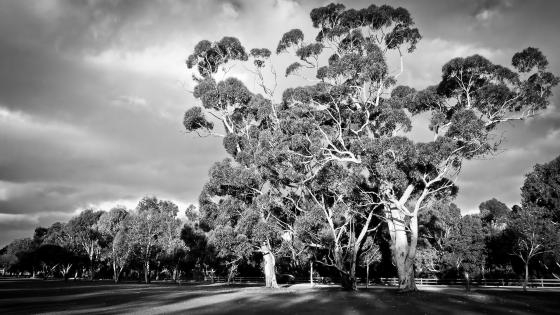 Hd wallpapers - backiee