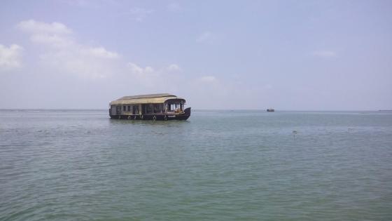 Hd wallpapers - backiee