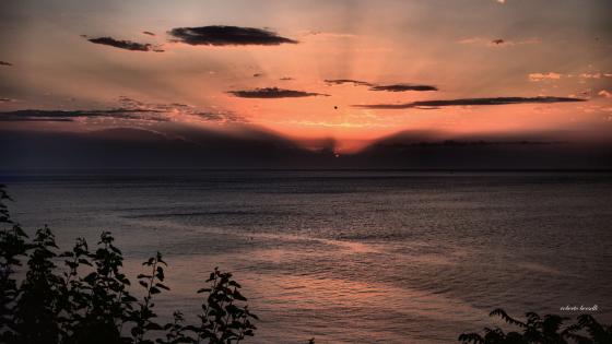 Hd wallpapers - backiee