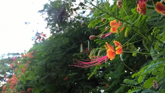 Gorgeous wallpapers - backiee