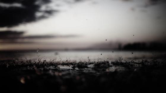 Puddle wallpapers - backiee