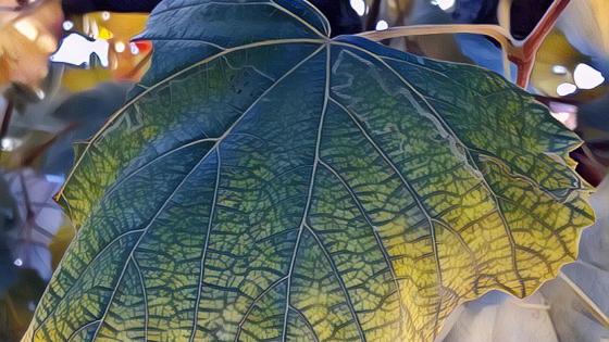 Yellow wallpapers - backiee