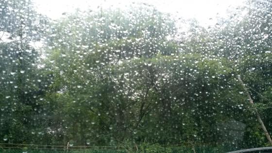 Rain wallpapers - backiee