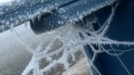 Spider Web wallpapers - backiee