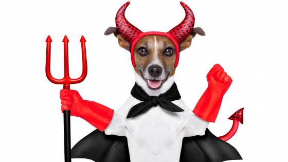 Devil wallpapers - backiee