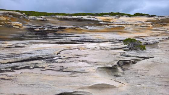 4k wallpapers - backiee