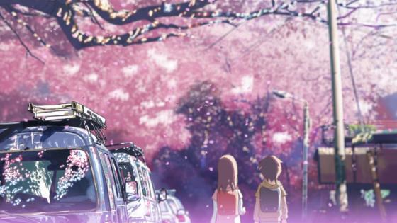 Sakura wallpapers - backiee