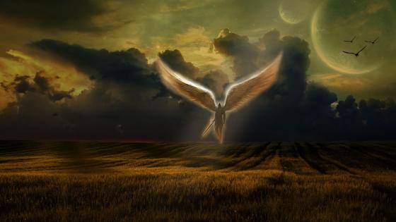 God wallpapers - backiee