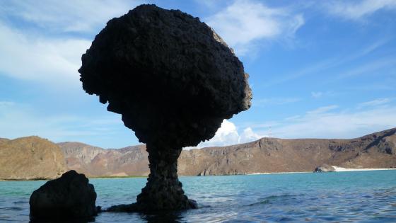 4k wallpapers - backiee