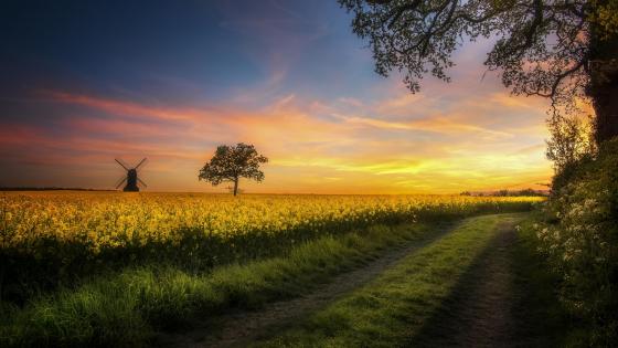Fall Windmill Wallpaper Fall Windmill Hi Res Stock Photography And
