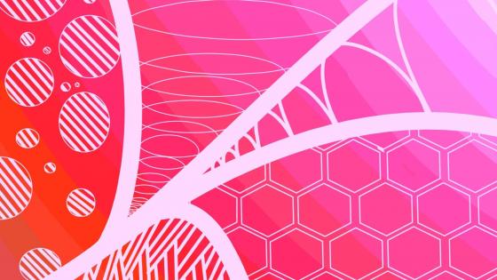 Pink wallpapers - backiee