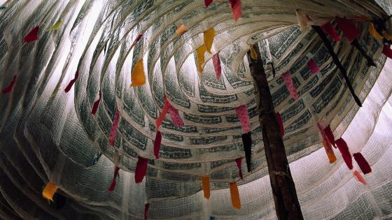 Silk wallpapers - backiee