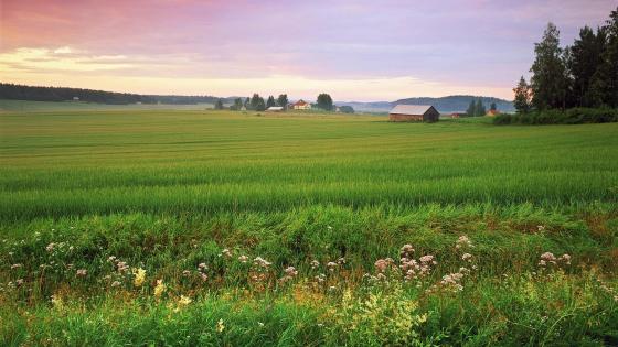 Prairie wallpapers - backiee