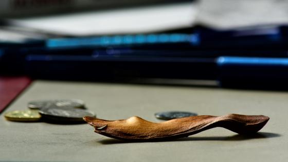 Cool wallpapers - backiee