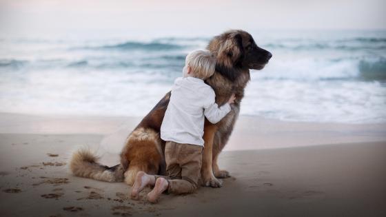 Boy wallpapers - backiee