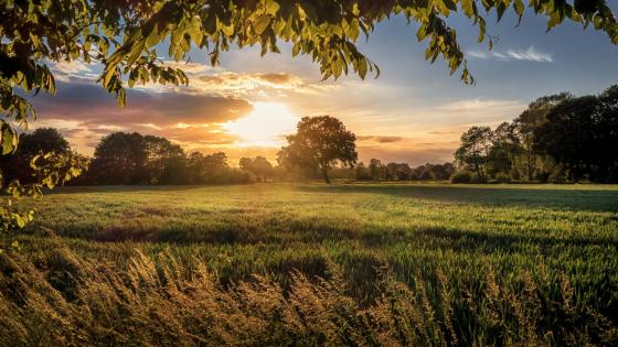 Afternoon wallpapers - backiee