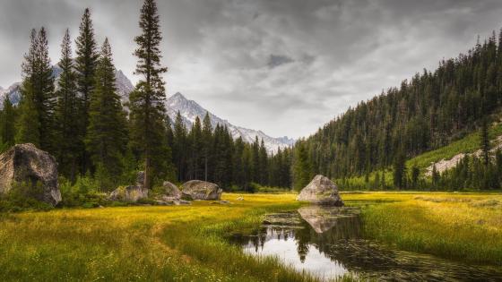 Bayou wallpapers - backiee