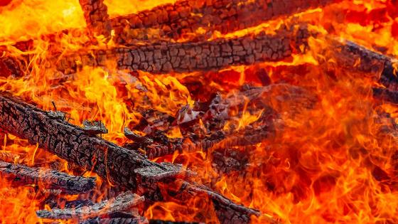 Ember wallpapers - backiee