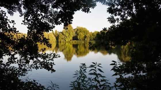 Nord Park wallpapers - backiee