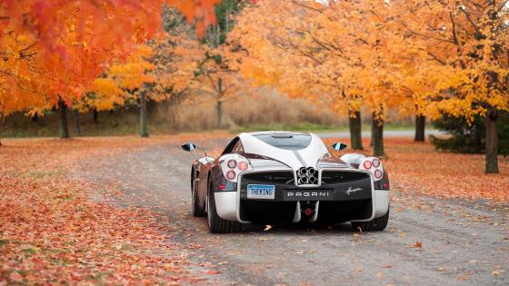 Pagani wallpapers - backiee