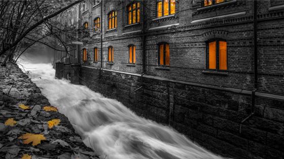 Windows wallpapers - backiee