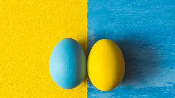 Opposite wallpapers - backiee