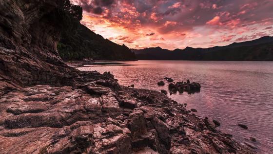 Pink Landscape wallpapers - backiee