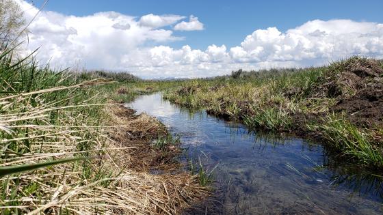 A bench overlooking the Mount Moran - backiee
